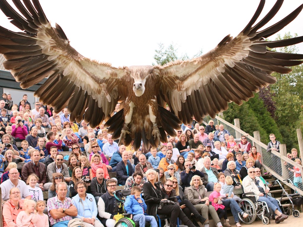 Bird park playground - Van der Valk Avifauna