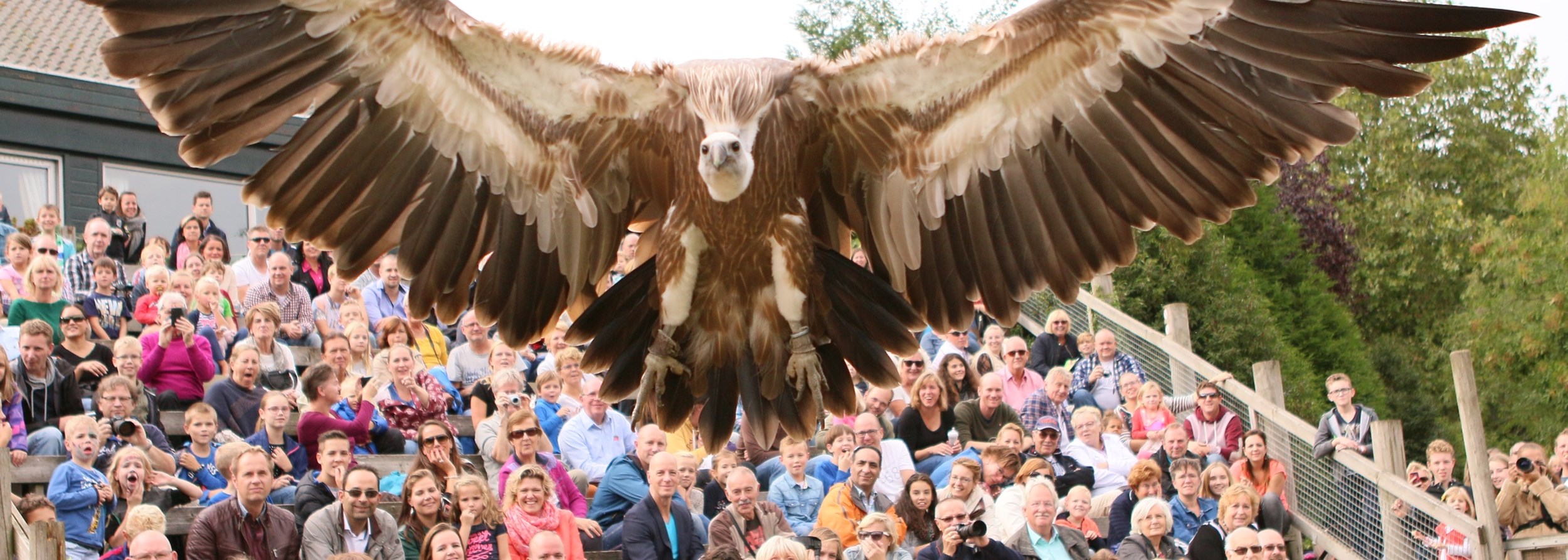 Vogelpark speeltuin - Van der Valk Avifauna